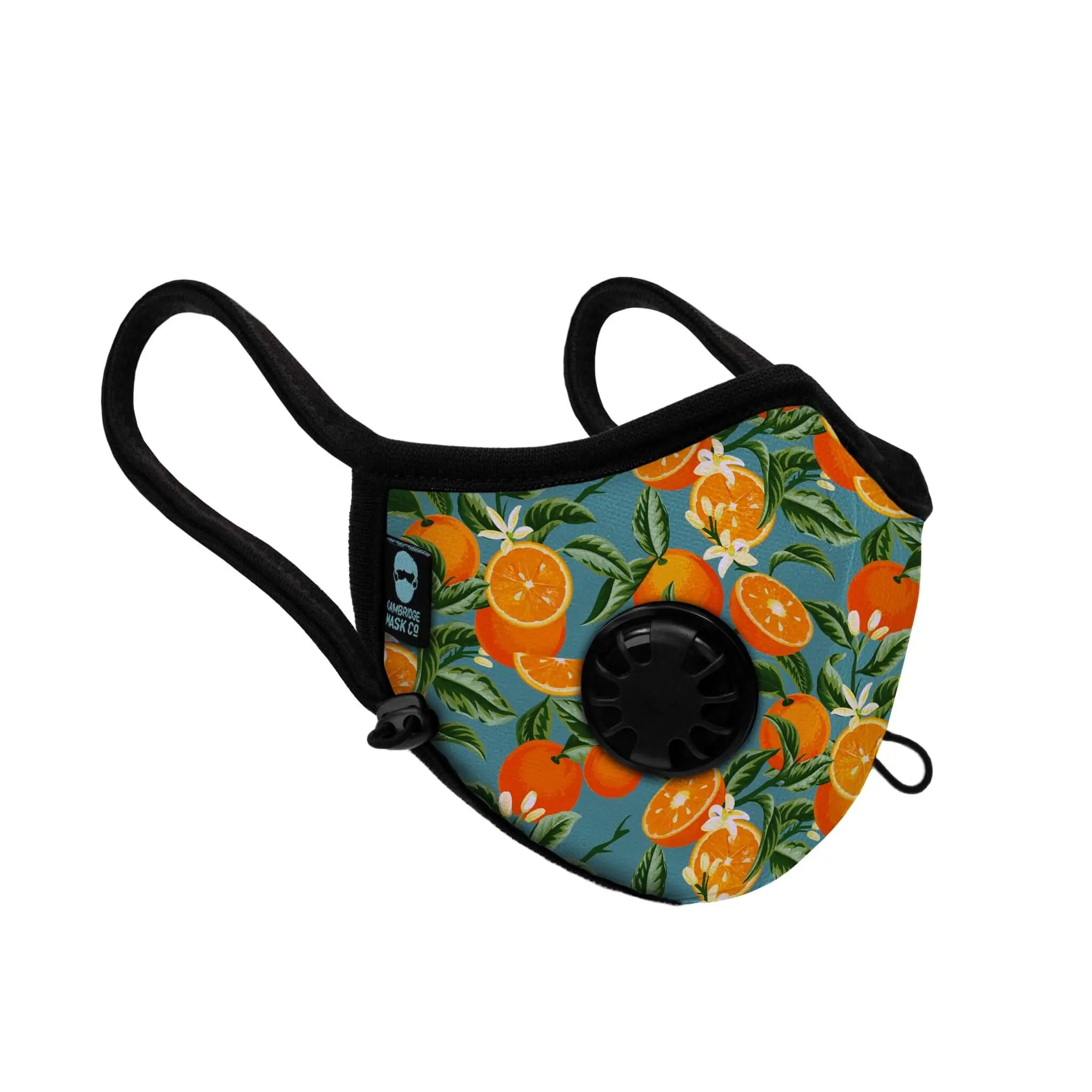 Pro Face Mask - The Marmalade | British Military Grade | 99% ...